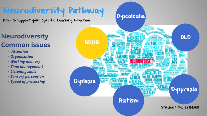 Neurodiversity Pathway by Martin Nunan on Prezi