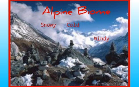 Alpine Biome Project by Davis Dube on Prezi