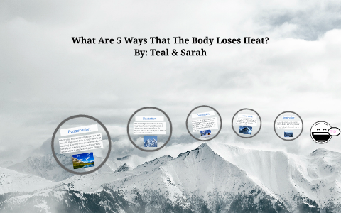 What Are 5 Ways That The Body Loses Heat? by Sarah Besenski on Prezi