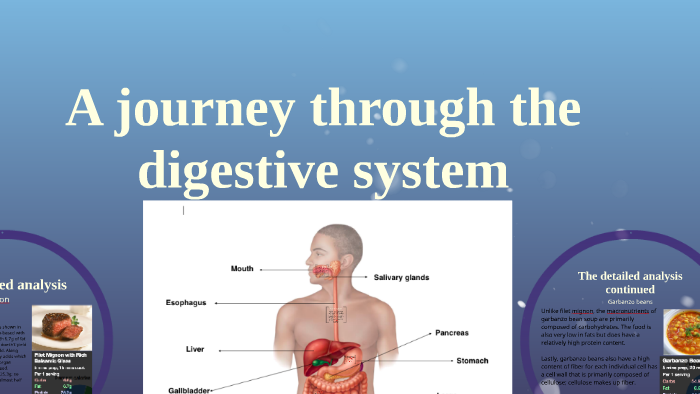 A journey through the digestive system by TheMagicV on Prezi