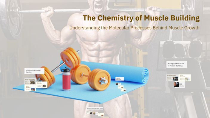 The Chemistry of Muscle Building by Keely Stevens on Prezi