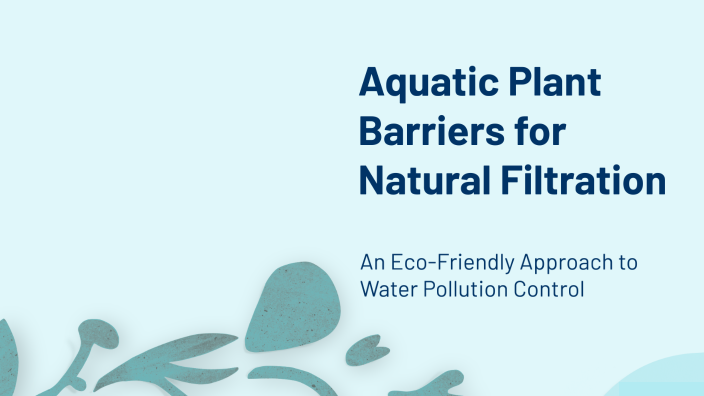 Aquatic Plant Barriers for Natural Filtration by curaquinho on Prezi