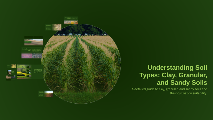 Understanding Soil Types: Clay, Granular, and Sandy Soils by zainab ...