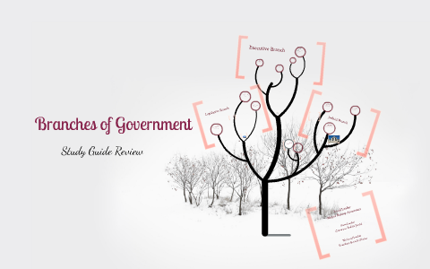 Branches of Government Study Guide Review by Heather Rodrigue on Prezi