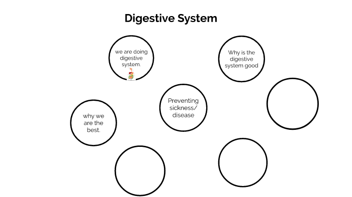 Digestive system by Patrick McCarty on Prezi
