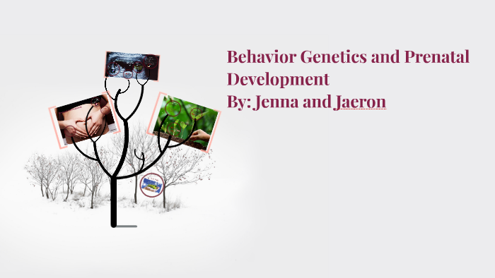 Behavior Genetics and Prenatal Development by Jenna Cuela on Prezi
