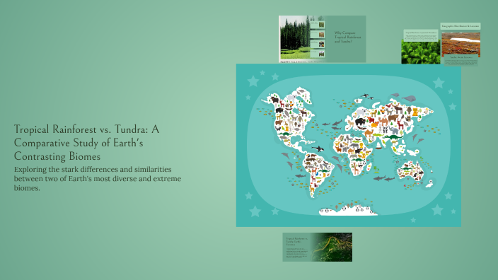 Tropical Rainforest vs. Tundra: A Comparative Study of Earth's ...