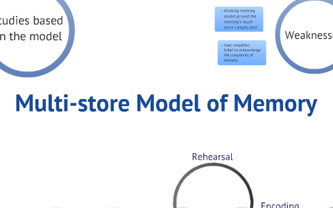 Multi-store Model of Memory by Sara Ellis on Prezi