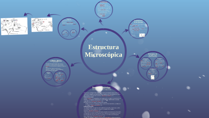 Estructura Microscópica by Laura Ramírez on Prezi