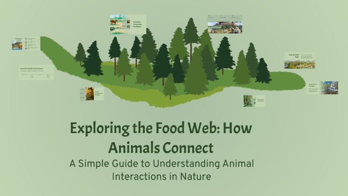 Exploring the Food Web: How Animals Connect by Dashanna Washington on Prezi