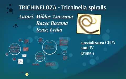 TRICHINELOZA - Trichinella spiralis by Roxana Razec on Prezi
