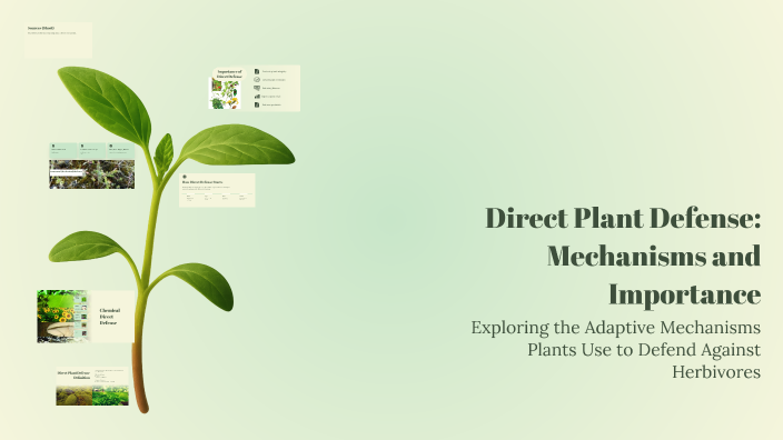 Direct Plant Defense: Mechanisms and Importance by Zakariya Lislawi on ...