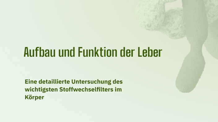 Aufbau und Funktion der Leber by Rinor zeqiri on Prezi
