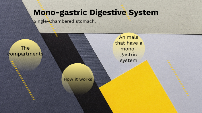 Monogastric Digestive System by Tanna White on Prezi