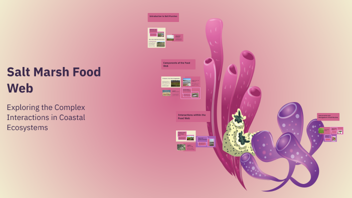 Salt Marsh Food Web by Dylan Madir on Prezi