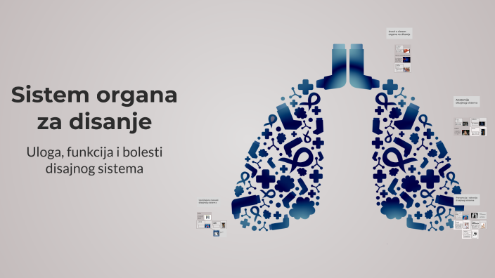 Sistem organa za disanje by Andrea Simic on Prezi