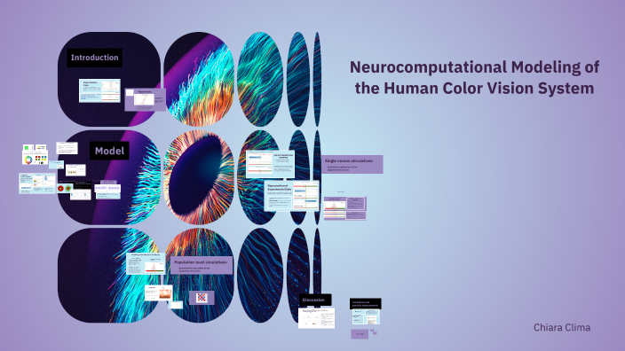 Python Single Neuron Model of Perceptual Hysteresis by Chiara Clima on ...