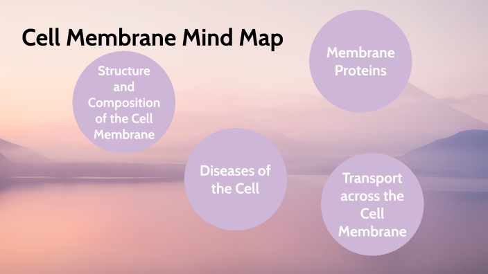 Cell Membrane Mind Map by ALONDRA RAMIREZ on Prezi