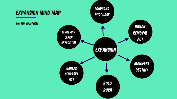 Expansion Mind Map by Mia Campbell on Prezi