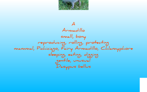 Biodiversity Poems by Drew Morton on Prezi