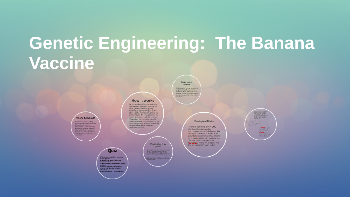 Genetic Engineering: The Banana Vaccine by Josi Robinson on Prezi