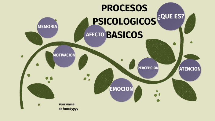 PROCESOS PSICOLOGICOS BASICOS by Yadira Urrea on Prezi