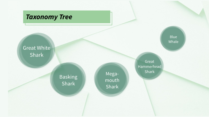 Taxanomy Trees by on Prezi