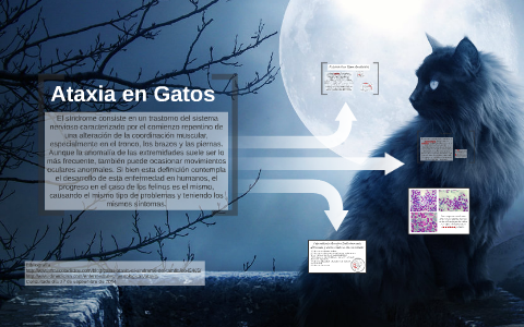 Ataxia en Gatos by Mary Marino on Prezi