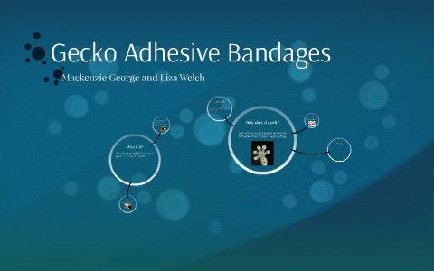 Gecko Adhesive Bandages by Liza Welch on Prezi