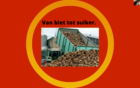 Van biet tot suiker. by Diana Akkermans on Prezi