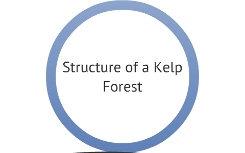 Structure of a Kelp Forest by Kendyl Throndson on Prezi