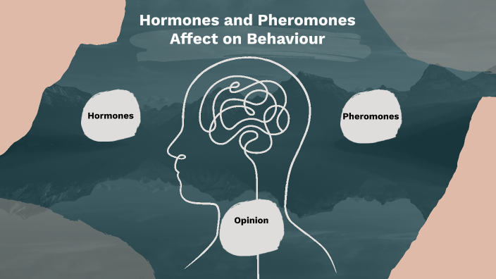 How Hormones and Pheromones Affect Behaviour by Amelie Villiers on Prezi