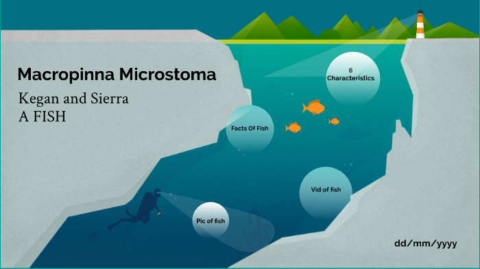 Macropinna Microstoma by Keagan Short on Prezi