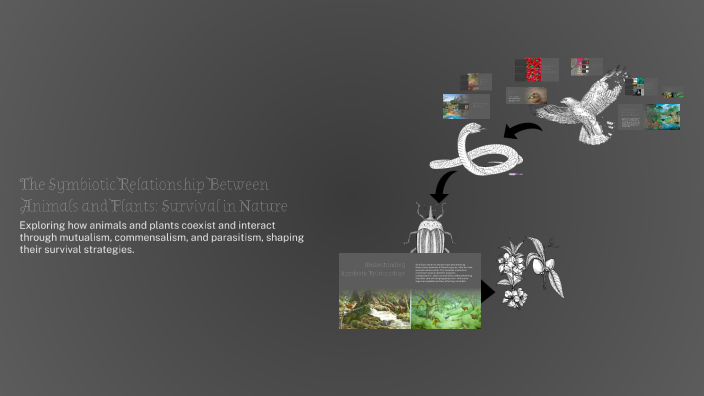 The Symbiotic Relationship Between Animals and Plants: Survival in ...