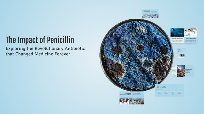 The Impact of Penicillin by doyin Julius on Prezi