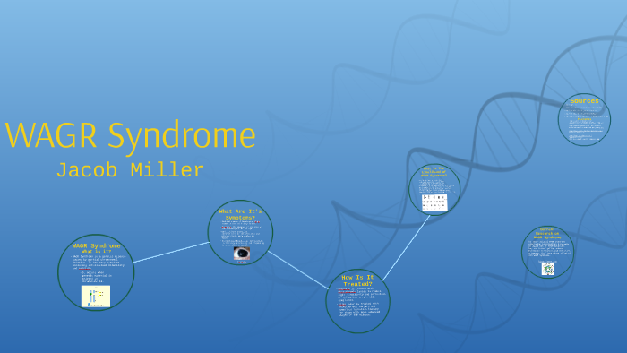 WAGR Syndrome by Jacob Miller on Prezi