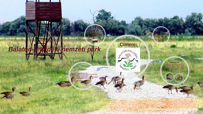 Balaton-felvidéki nemzeti park by Dorka Papp