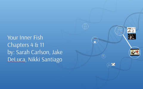 Your Inner Fish Presentation by: Sarah Carlson, Jake DeLuca, by Sarah ...