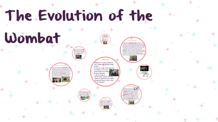 The Evolution of the Wombat by sophia tran on Prezi