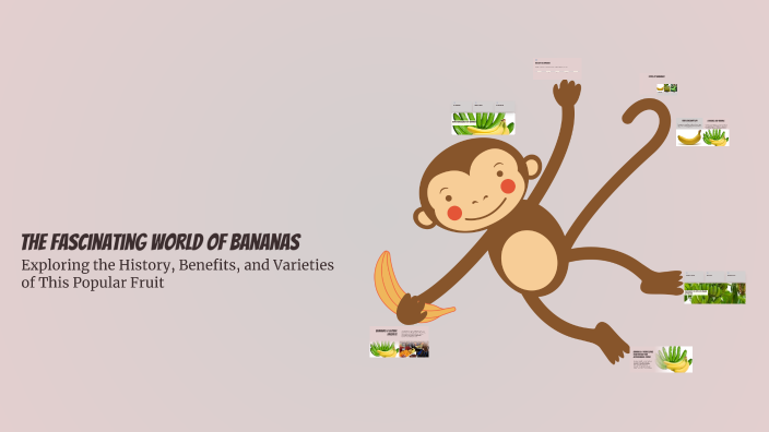 The Fascinating World of Bananas by Test User on Prezi