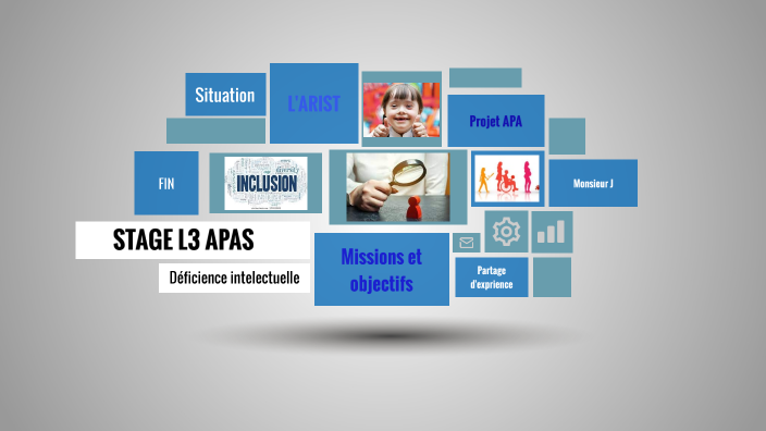 Stage APA by Lidvine Freynet on Prezi