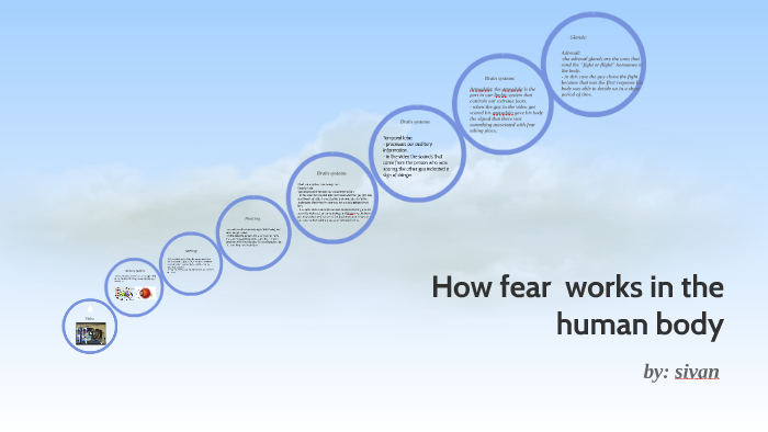 How fear affects our sensory organs by sivan ibragimov on Prezi