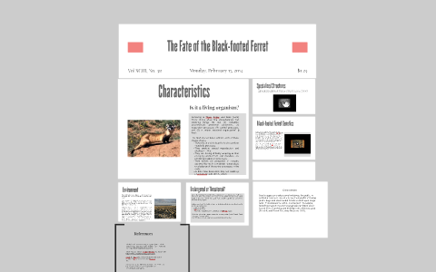 The Fate of the Black-footed Ferret by Kim Meller on Prezi