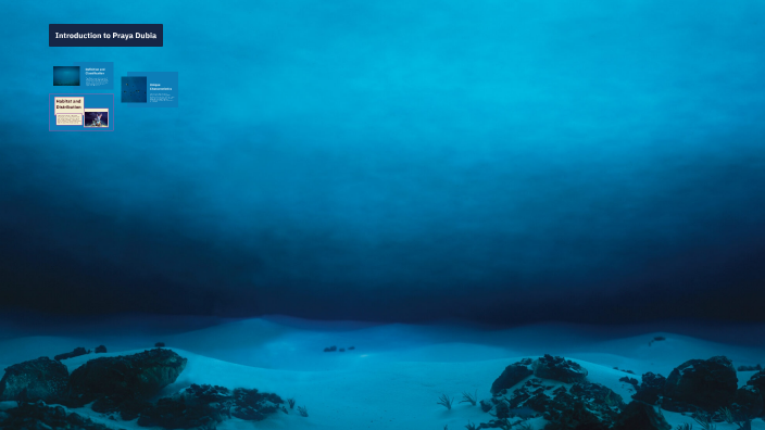 Praya Dubia: The Sea Silk by Maria Margarida Barata on Prezi