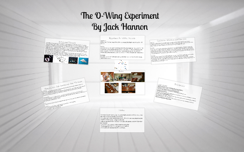 The O-Wing Experiment by Jack Hannon on Prezi