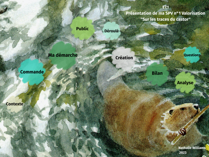 SPV Animation castor by btsa gpn on Prezi