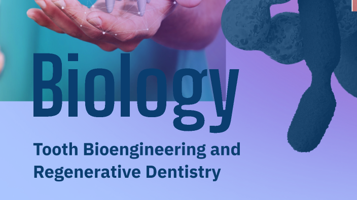 Tooth Bioengineering and Regenerative Dentistry by Zhenfan Zhao on Prezi