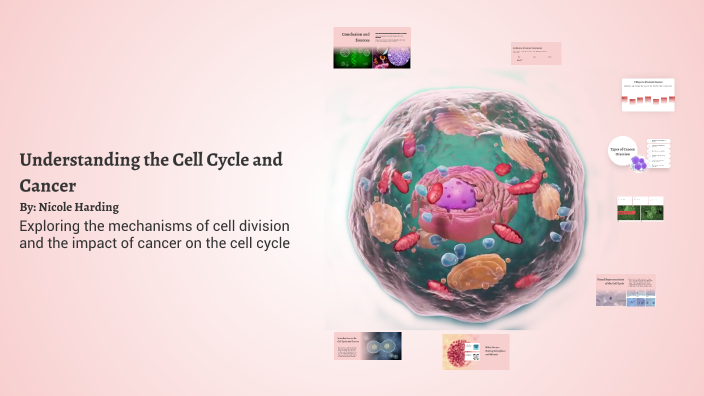 Understanding the Cell Cycle and Cancer by nicole harding on Prezi