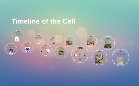Timeline of the Cell by Bailey Roach on Prezi