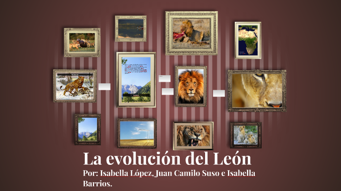 La evolución del León by isabella lopez on Prezi